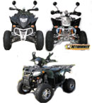 Eagle 203 - 200/250 | Eagle | Quads/ATV | Ersatzteile